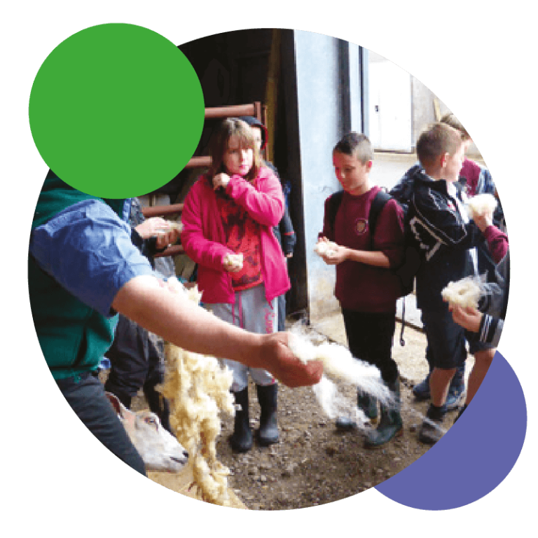 Legacy Projects - Royal Highland Educational Trust