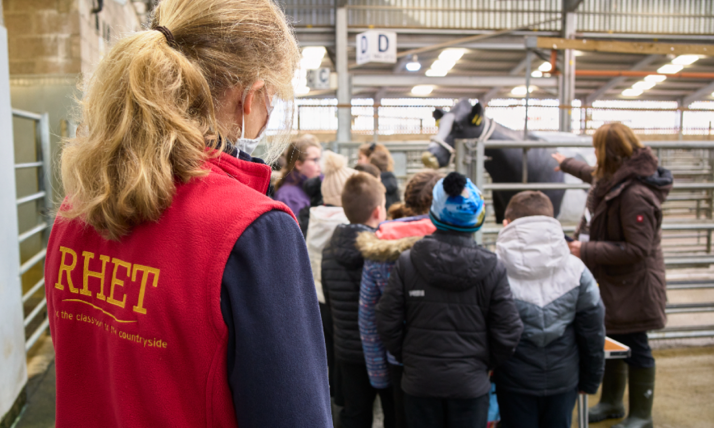 Exploring uses of materials - Royal Highland Educational Trust